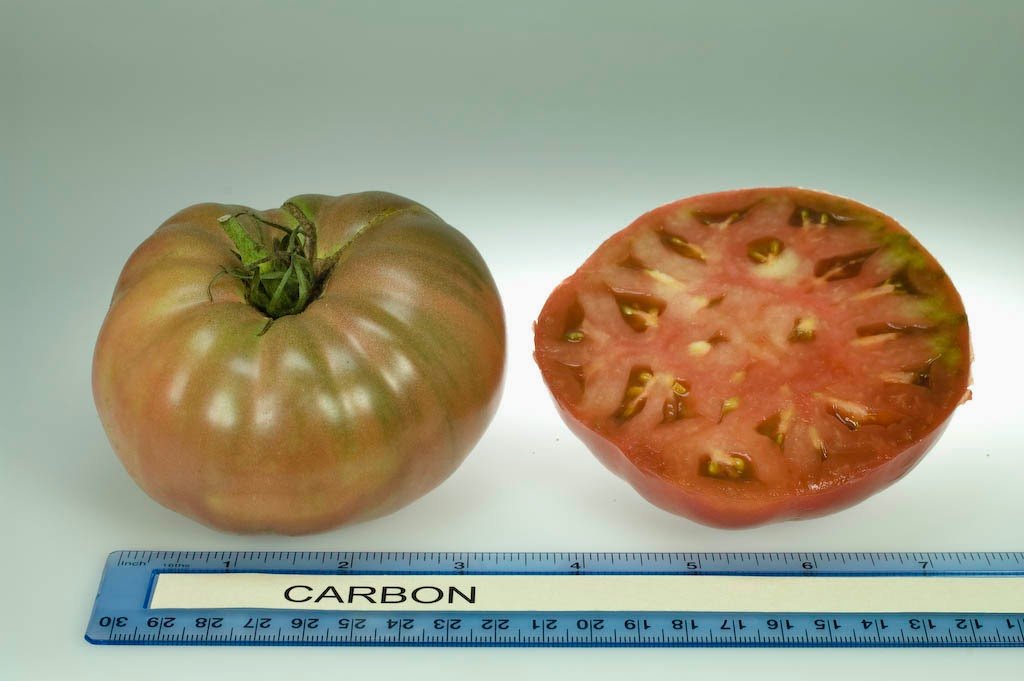 Tomato types 🍅 names measurement and weights Everything About Tomatos ...